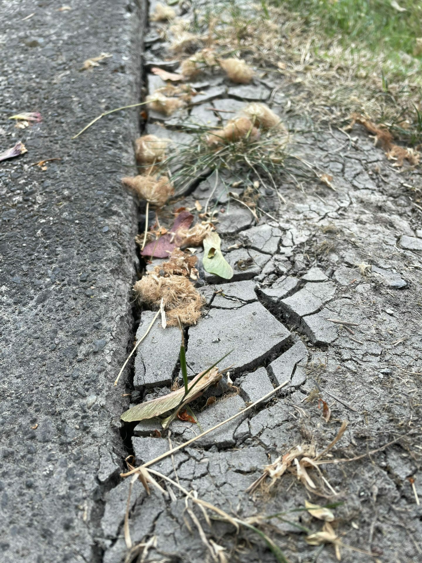 Lili Saintcrow | Flywheel, Repurposed